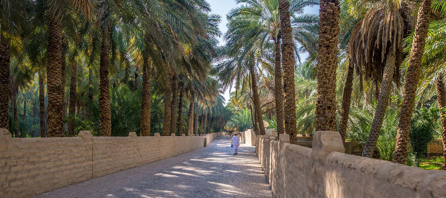 Discover ADNEC Centre Al Ain | ADNEC Centre Al Ain